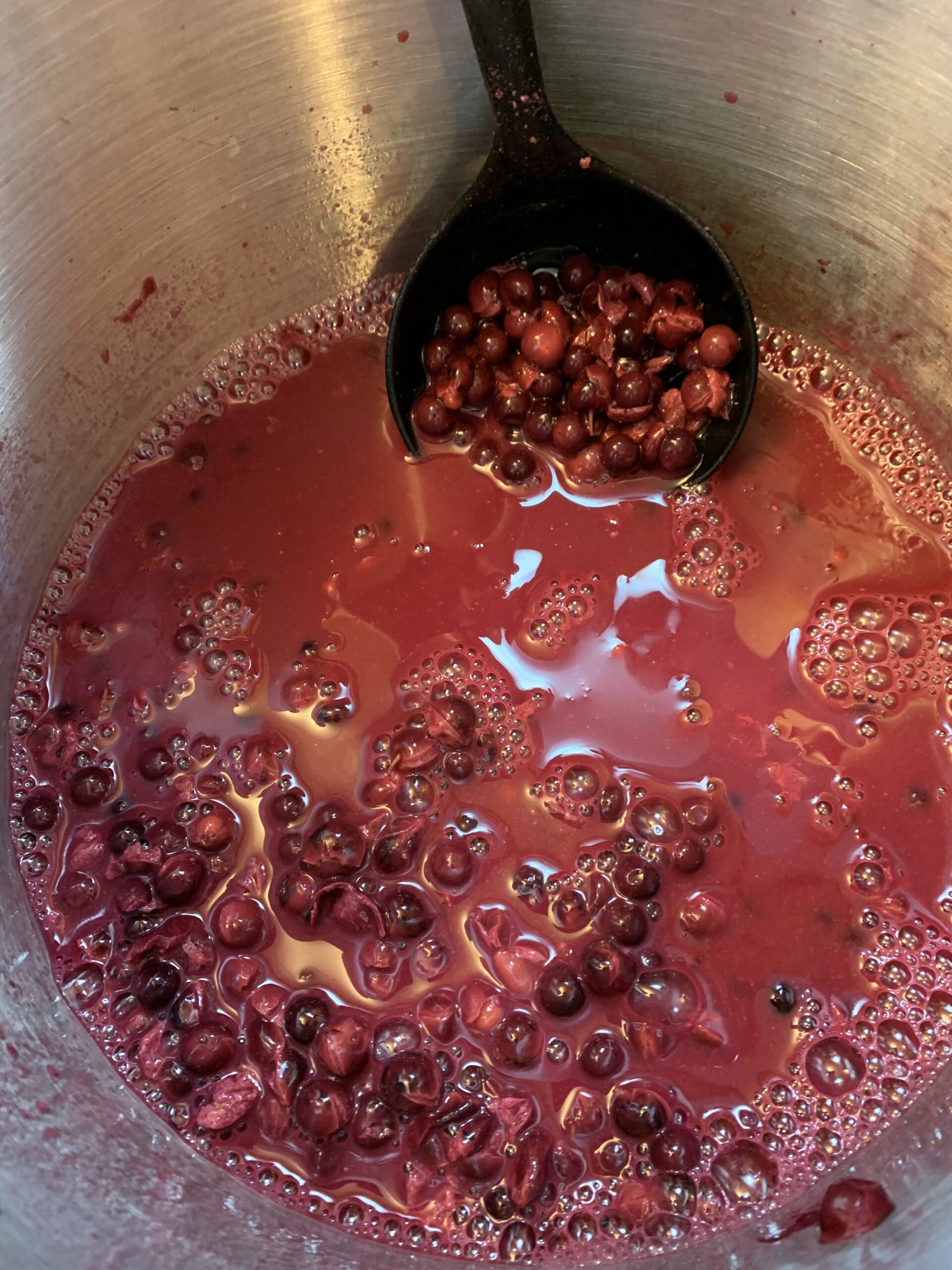 Homemade Choke Cherry Jam | Scout N' About