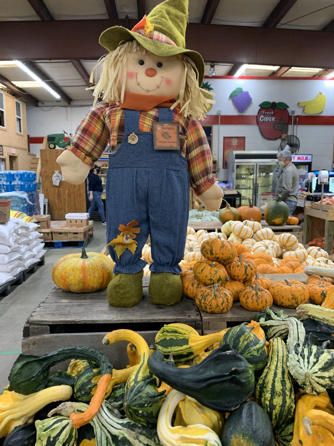 Fresh From Miller Farms - Clinton, Maryland | Scout N' About