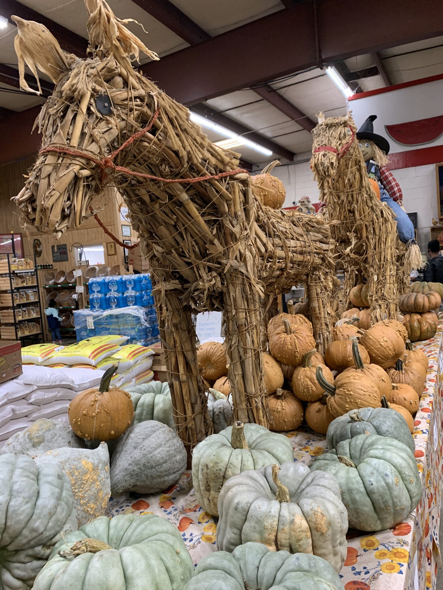 Fresh From Miller Farms - Clinton, Maryland | Scout N' About